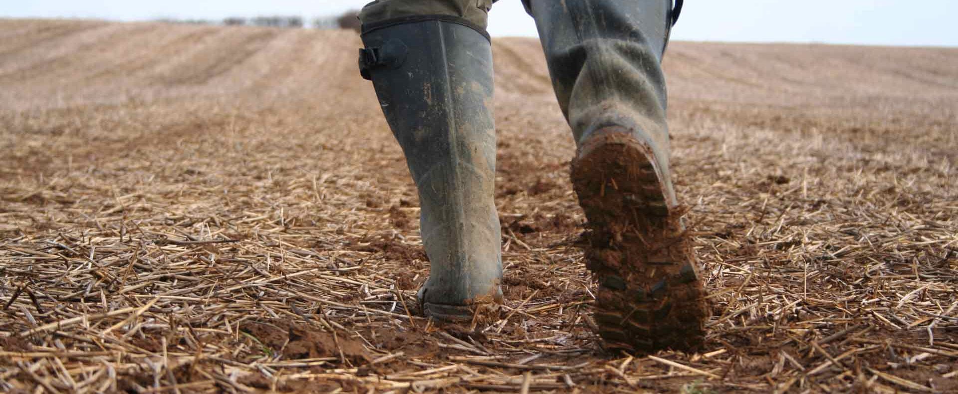 Bootbox innovation at the Ploughing with Paul Codd